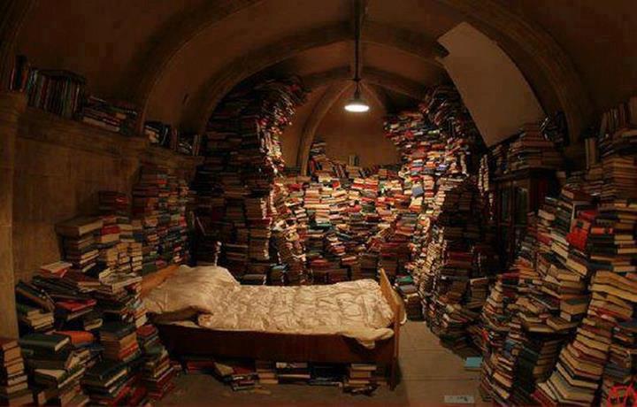 Book Hoarding: Good, Bad or Just Semantics? – K.L. Kranes